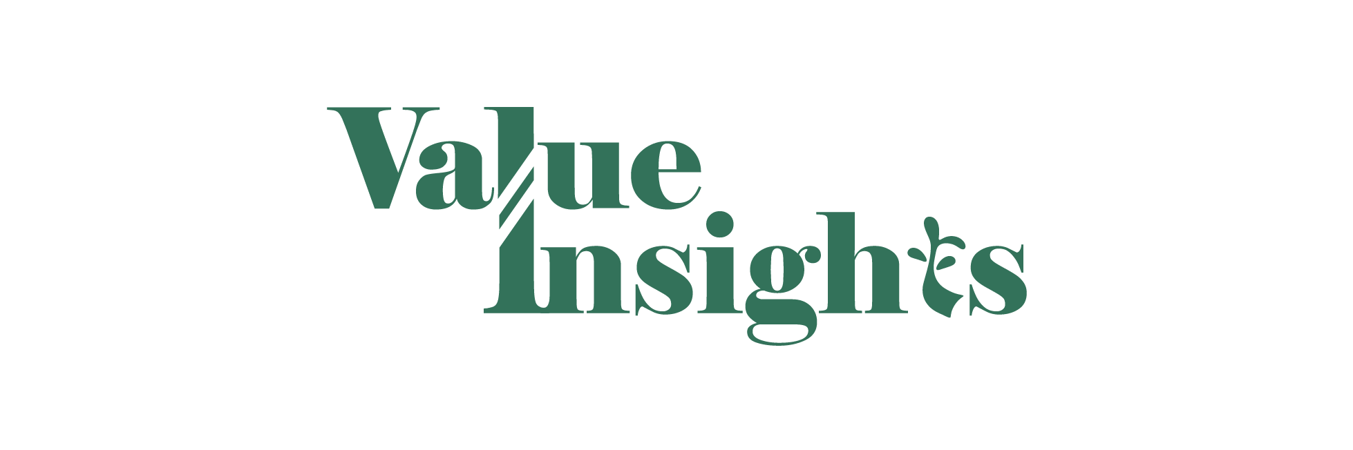 Kasvua asiakasarvolla - Value Insights